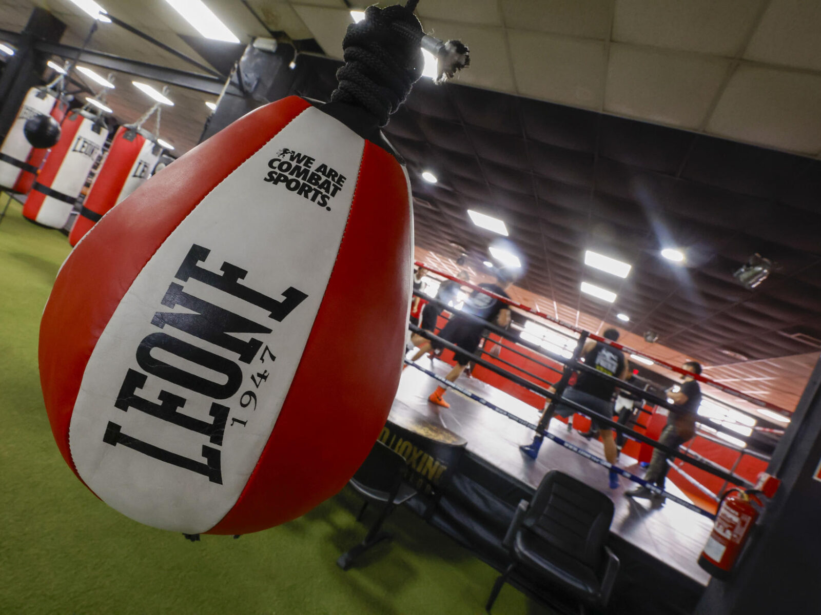 El calendario de boxeo 2024-2025, todas las peleas y eventos - UNANIMO ...